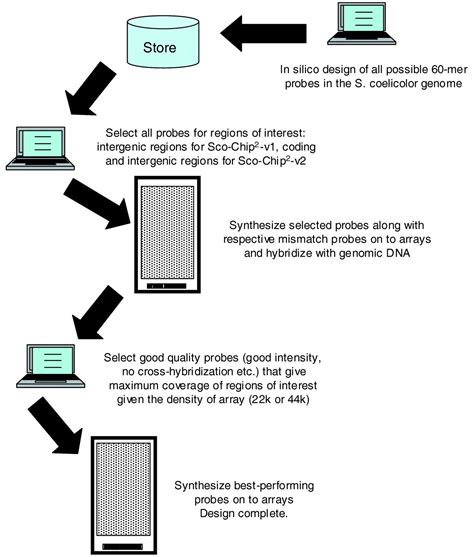 Development And Application Of Versatile High Density Microarrays For Genome Wide Analysis Of