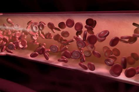 20 مورد از مهمترین علائم غلظت خون دکترنکست