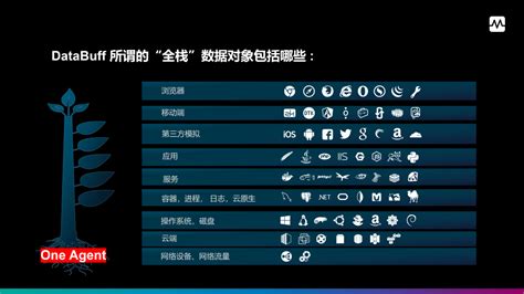 一文带你看懂 什么是全栈可观测性 知乎
