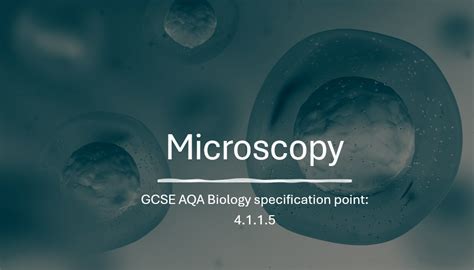 Microscopy Gcse Aqa Biology Teaching Resources