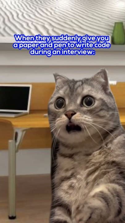 trevor page on linkedin codememe funnyvideo programming dev