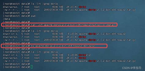 apache doris 2 x 版本【保姆级】安装 使用教程 system has no available disk capacity