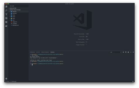 Project Manager Not Showing Up In Side Bar Issue Alefragnani Vscode Project Manager