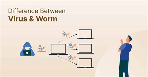 Phân Biệt Giữa Worm Và Virus Cao Đẳng Fpt Polytechnic