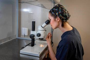 Fertility Treatment For Same Sex Couples Perth