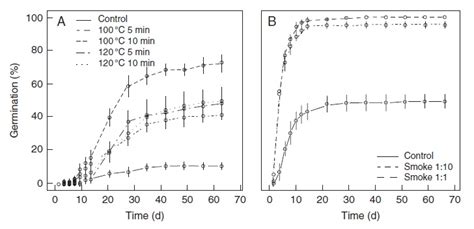 Jg Pausas Blog Smoke Stimulated Germination