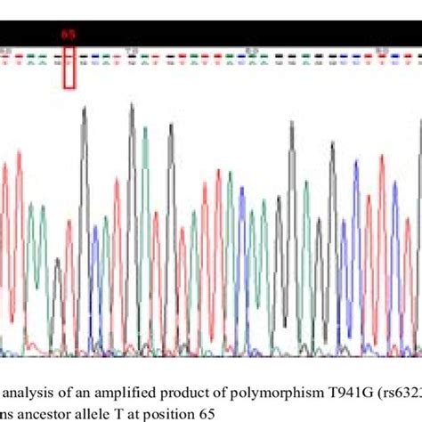Sequence Analysis Of An Amplified Product Of Polymorphism T941g Download Scientific Diagram