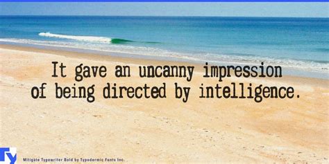 Mitigate Font Webfont And Desktop Myfonts