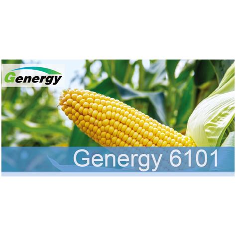 Genergy 6101 – Alimentier Private Limited