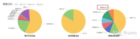 统计网站访问量（自己开发） 网站访问量统计 csdn博客