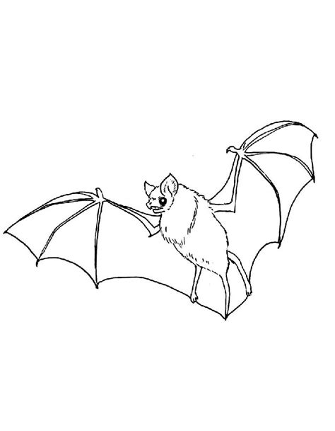 Halloween Bat Pictures To Color Coloring Page