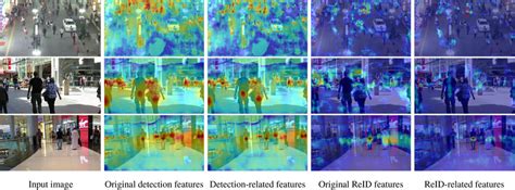 Visualisation Of The Original And Task‐related Feature Maps Download
