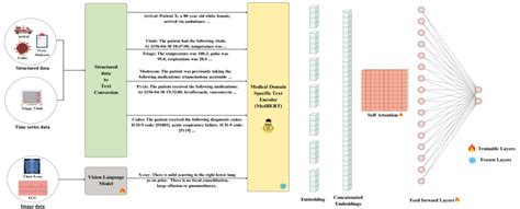 [논문 리뷰] The Multimodal Paradox How Added And Missing Modalities Shape Bias And Performance In