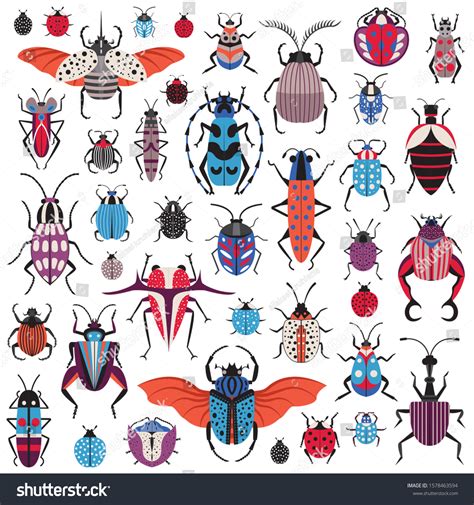 Coloring Beetle Images Stock Photos Vectors Shutterstock