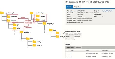 Schema Of The Data Hierarchy With Custom Variables Left Panel Download Scientific Diagram