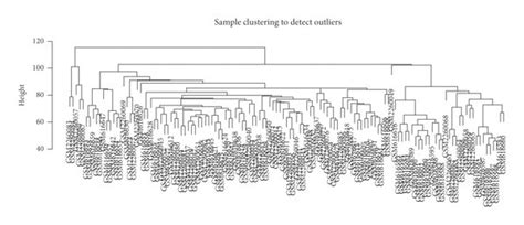 Sample Clustering And No Outlier Samples Are Generated A The