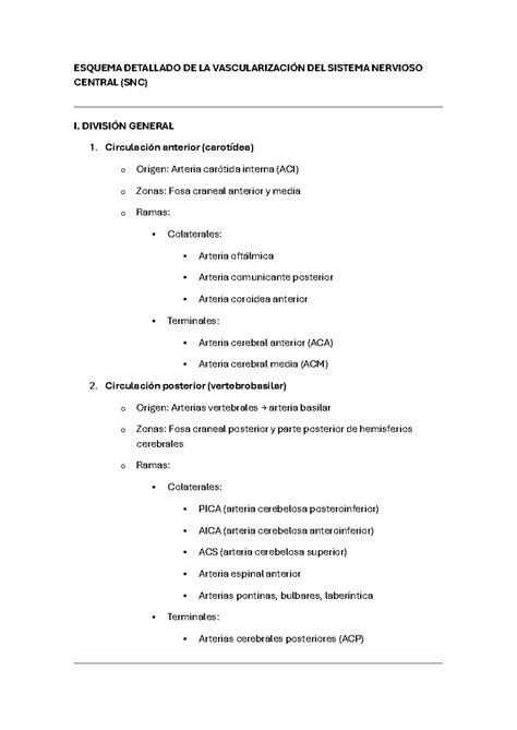 Esquema Detallado De VascularizaciÓn Snc CirculaciÓn Anterior Y