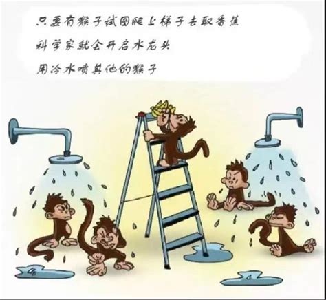 经验主义害死人 知乎