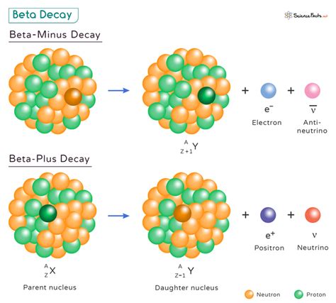 Beta Decay Definition Equation Types And Applications