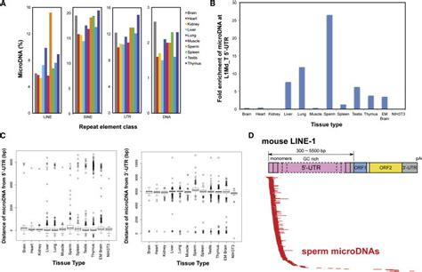Microdnas In Mouse Sperm Are Enriched From Line 1 Elements Download Scientific Diagram