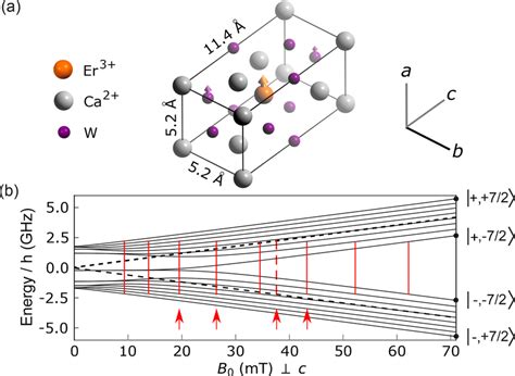 Structure And Energy Diagram Of Erbium Ions In Cawo 4 A Crystal Download Scientific Diagram