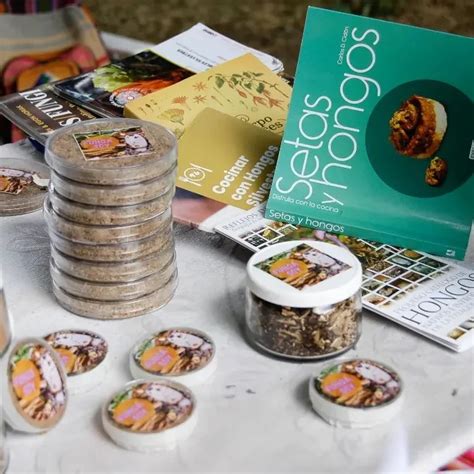 Fungipapa Лікарські гриби що це ☝🏻Ще у давнину люди почали вивчати лікувальні властивості