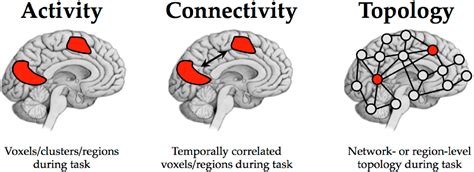 figure 1 from principles of dynamic network reconfiguration across