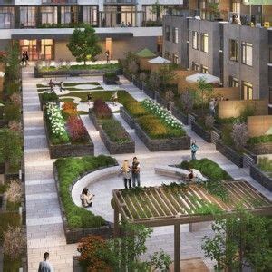 28 Ideas De Camellones Camellones Arquitectura Paisajista