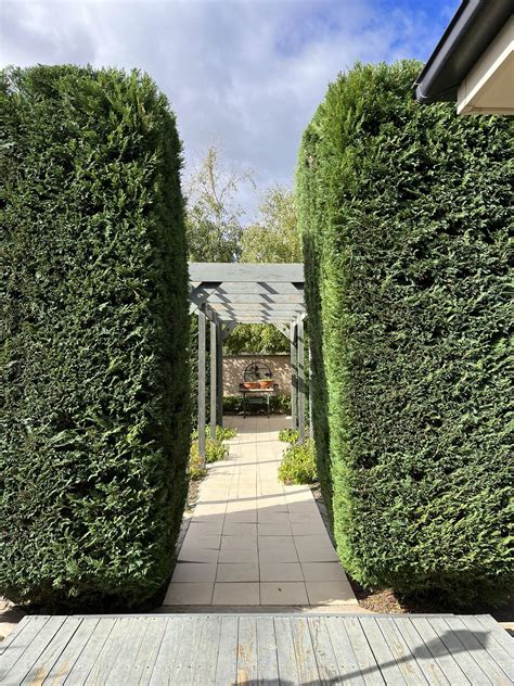 Alpha Garden Solutions 💡 Project Spotlight ⠀ 📍 Kt6 Kingston Upon Thames ⠀ ⠀ ⠀