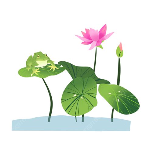 연꽃 과 개구리 의 손 그림 일러스트 로터스 손으로 그린 청개구리 Png 일러스트 및 Psd 이미지 무료 다운로드 Pngtree