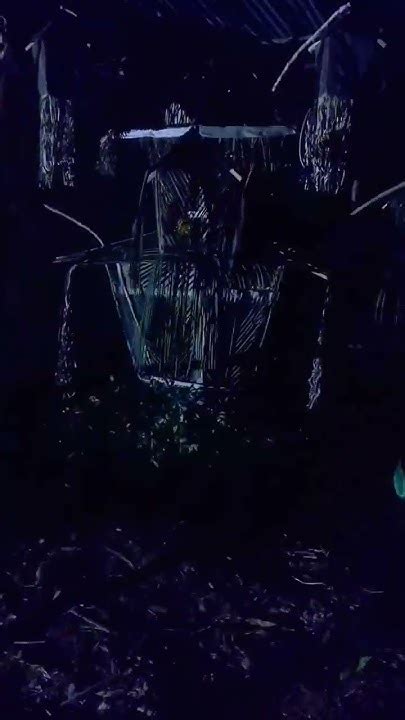 පොල් කොල වලින් කුඩු නිර්මාණ Nature Srilanka Temple Youtube