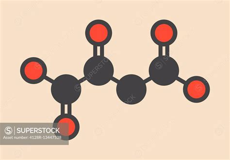 Oxaloacetate Structure Direct Access To 13‐oxathiolan‐5‐ones