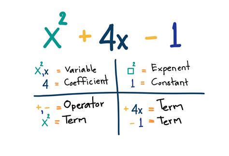 Classify Polynomial Polynomial คือ Expression By Nslog0 Sigmath