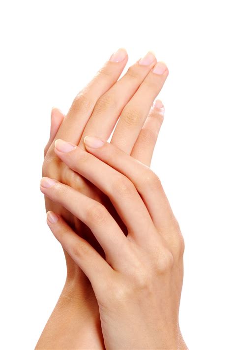 Exploring The Wonders Of Hands An Overview
