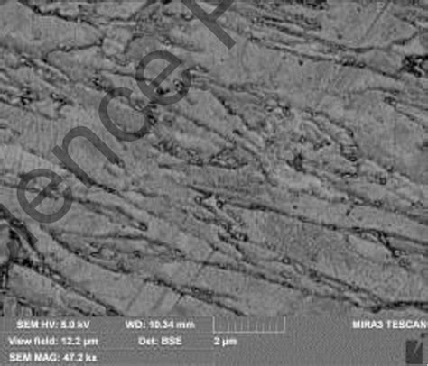 Microstructure Of Aisi 420 Steel Sorbite Obtained By Heating In Oven