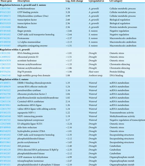 Selected Differentially Expressed Genes Download Table