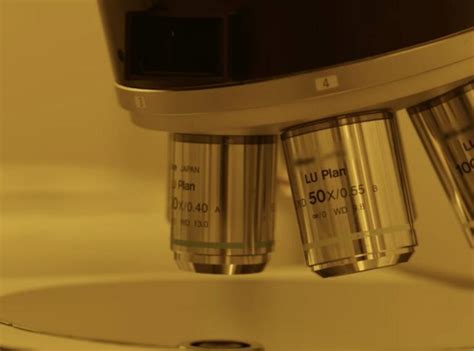 IBM Working To Improve Chips Using Advanced Quantum Computers