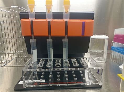 Riya Saha On Linkedin Isolating C Kit Hematopoietic Stem Cells Using The Macs System For My