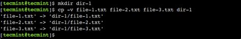 How To Use Cp Command Effectively In Linux Examples