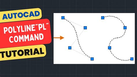 The Polyline Command Autocad Youtube