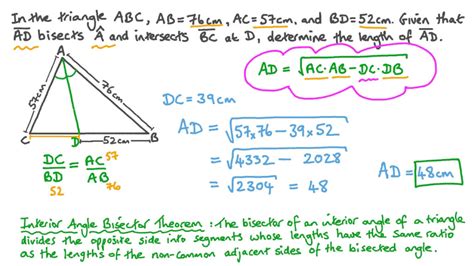 Triangle Angle Bisector Theorem Worksheet