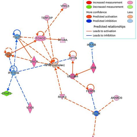 Network 1 Post Translational Modification Cell Morphology Cellular