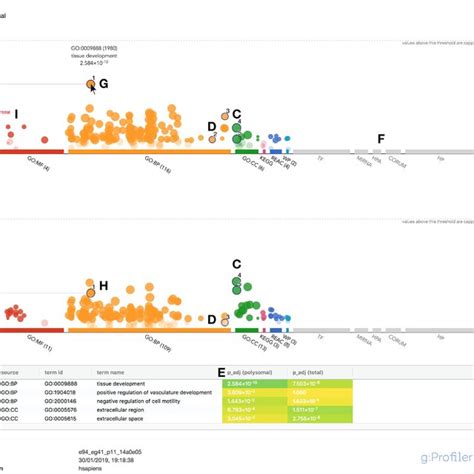 PDF G Profiler A Web Server For Functional Enrichment Analysis And Conversions Of Gene Lists