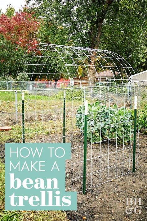 How To Build A Bean Trellis That Adds Interest To Your Garden Artofit