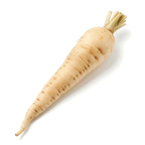 Premium Photo Parsnip Root Vegetable Tapered Shape Characterized By Its Wh Isolated On White