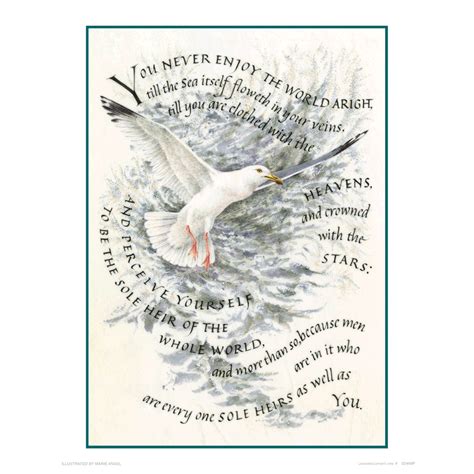 Marie Angel Seagull Encouragement Art Print Laughing Elephant