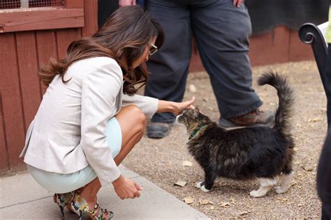 Sexy Lauren Boebert R Womenoftheright