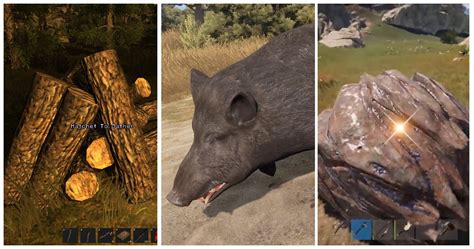 Rust Most Useful Resources And Where To Find Them