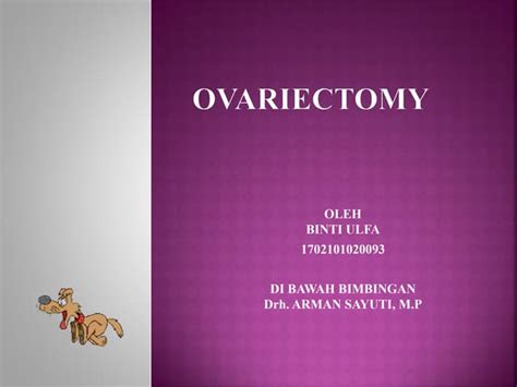 Ovariectomy In Dog Pptx