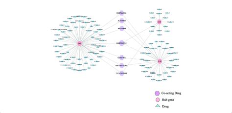 Drug Gene Interaction Dgidb Database Predicted Six Drugs Acting On